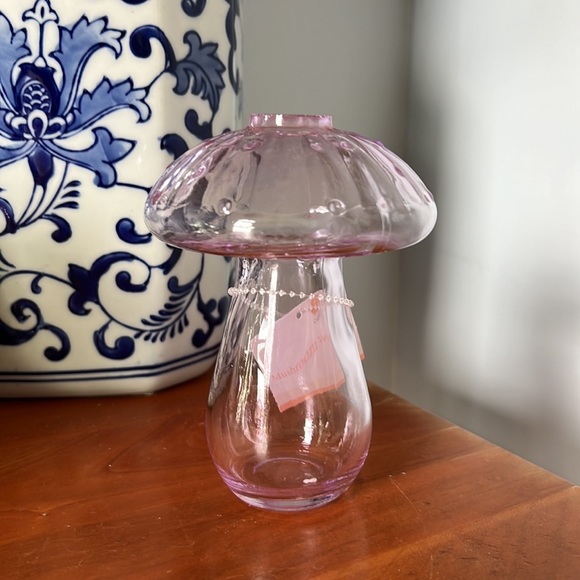 Accents | Pastel Trio Of Sweet Clear Mushroom Glass Vases | Poshmark